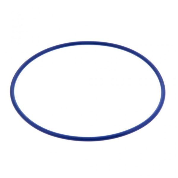 O-Ring | Detroit Diesel Engines | 8929253