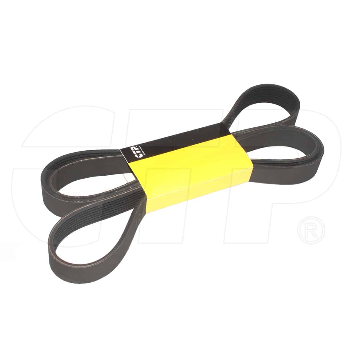 BELT SERPENTINE | 2213775